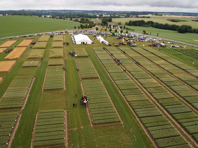 Versuche zu speziellen Fragestellungen | BioChem agrar GmbH