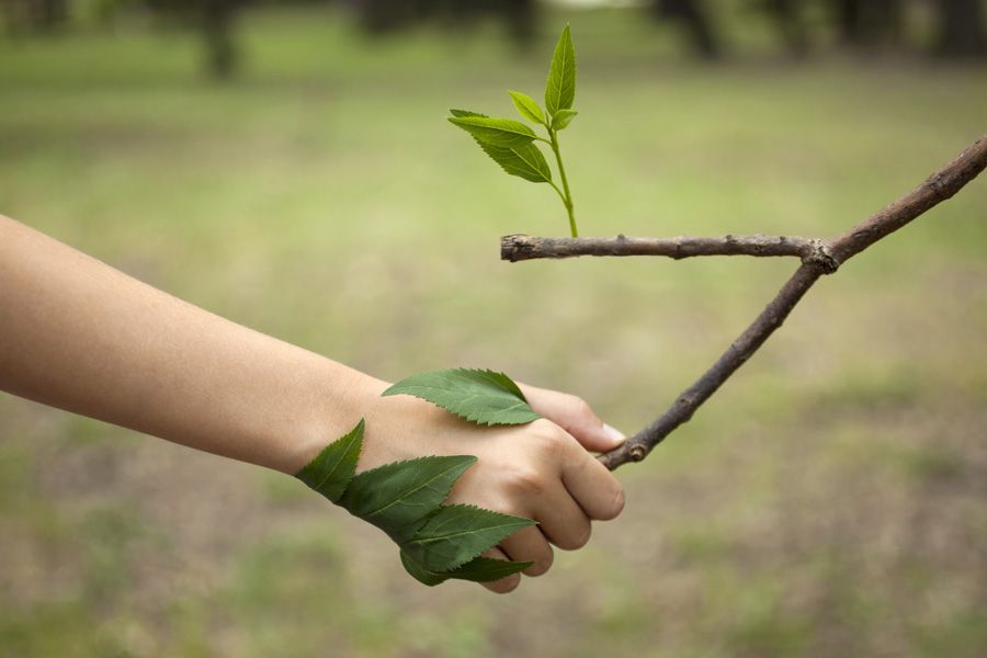 BioChem agrar Labor für biologische und chemische Analytik GmbH ...