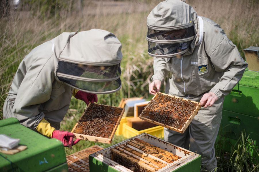 Karriere bei der BioChem agrar Labor für biologische und chemische ...