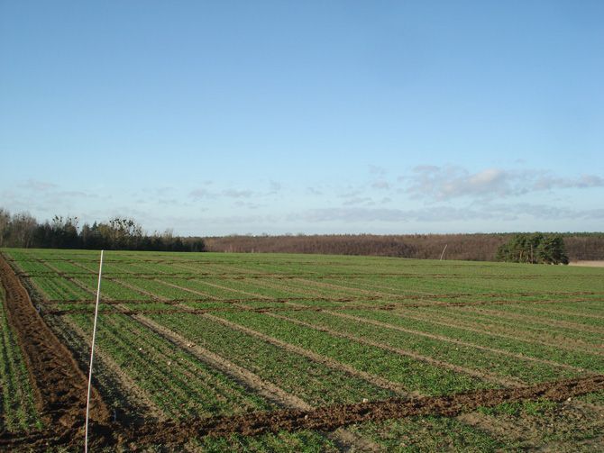 BioChem agrar | Tützpatz location | Get information now!