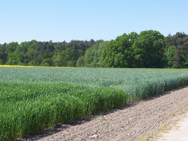 BioChem agrar | Our location in Trossin | Get infos now!