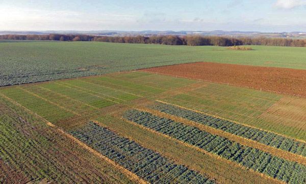 Laboratory for biological efficacy testing | BioChem agrar Labor für ...