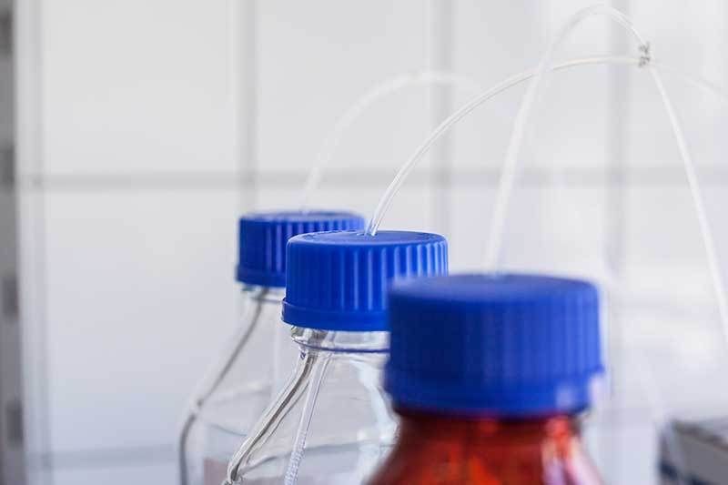 Soil testing for farmers | BioChem agrar Labor für biologische und ...